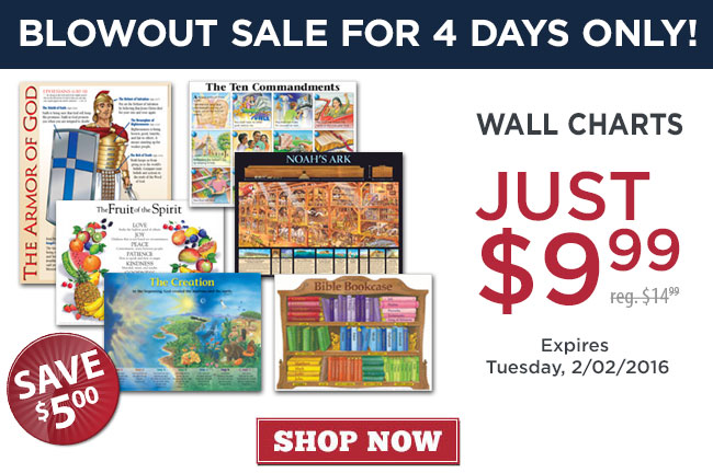 Laminated Wall Charts and Posters for Kids! Save $5 For 4 Days Only ...